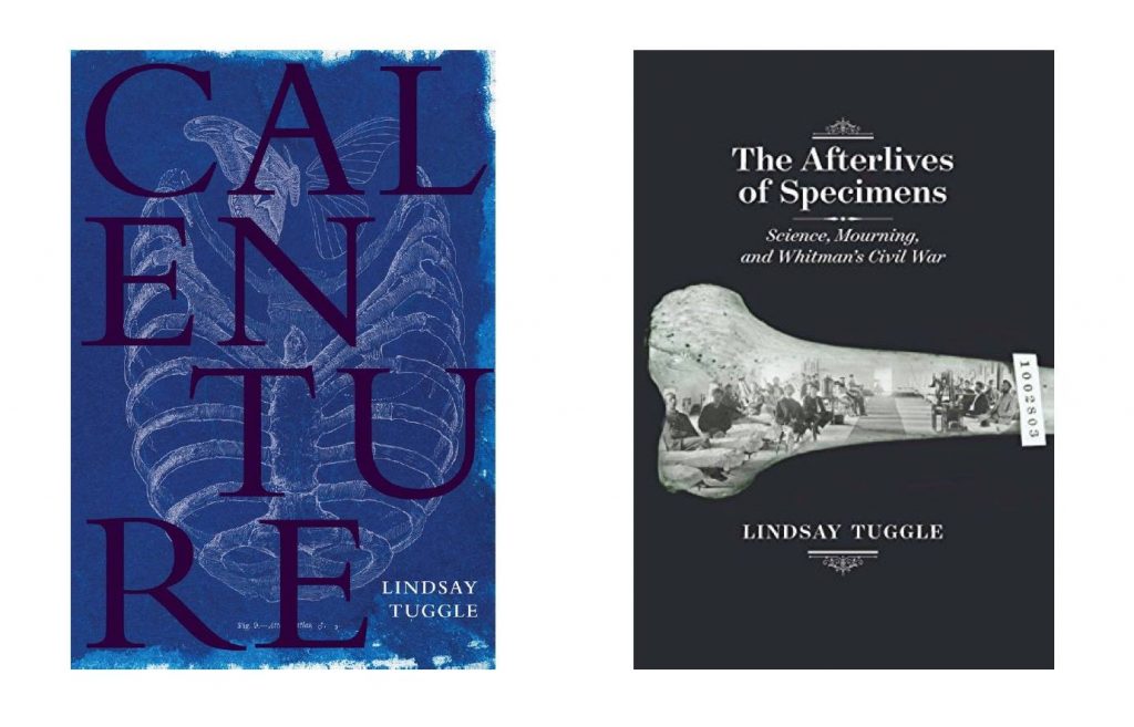 Book Launch (Syd): ‘Calenture’ & ‘The Afterlives of Specimens’ by ...